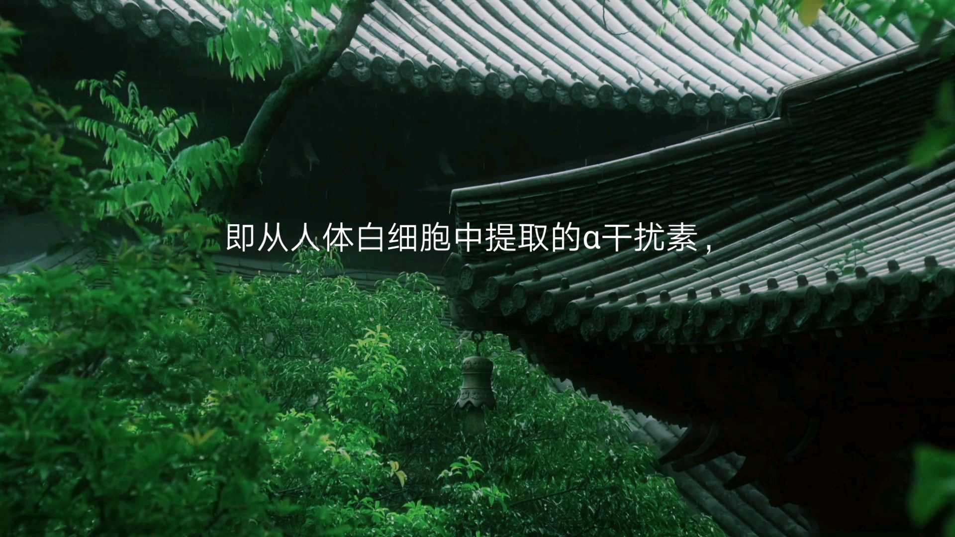 ...即从人体白细胞中提取的α干扰素,从纤维母细胞中提取的β干扰素,从...
