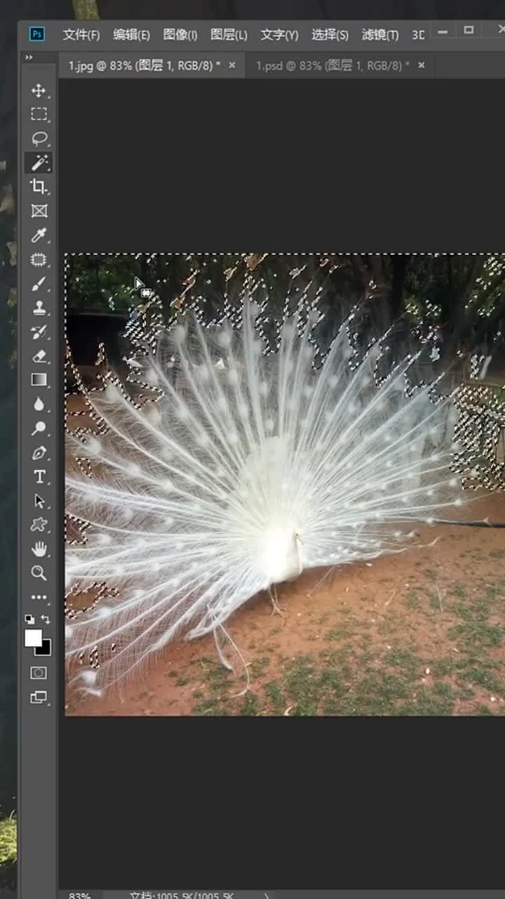 教你如何复杂动物毛发抠图