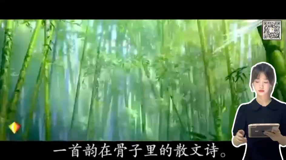 小学五年级上册白鹭微课