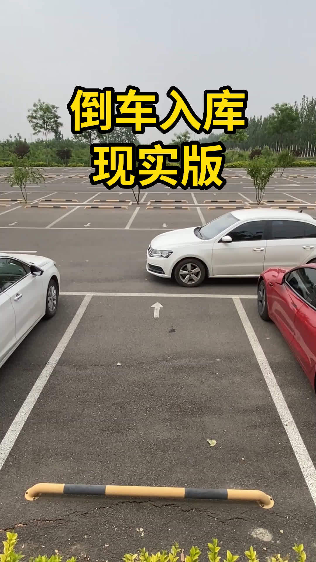 现实版倒车入库,这样做一秒钟学会!汽车每天一个用车知识汽车...