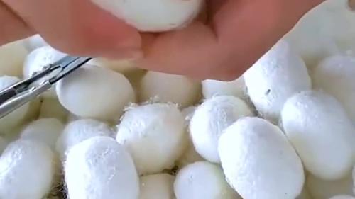 四川绵阳大叔,手工蚕丝被的工序步骤,城里应该没见过。