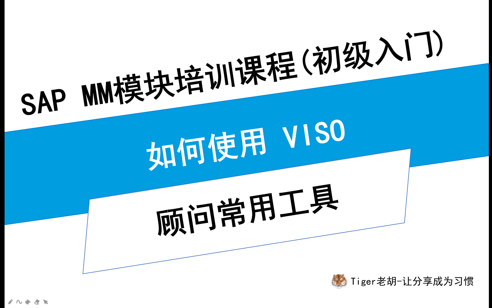 SAP 顾问常用工具-如何使用 VISO