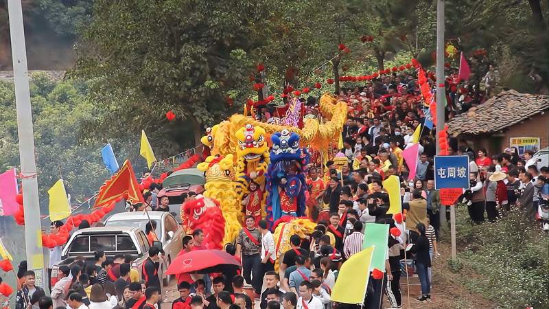 实拍广西壮族传统文化节,舞狮舞龙八音齐上阵,这场景你见过吗