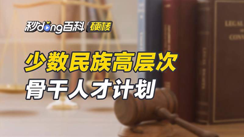少数民族高层次骨干人才计划