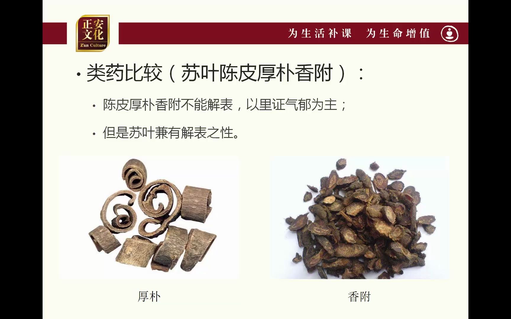 倪海厦老师弟子施合一经方药证学 4 解表药 04 紫苏2