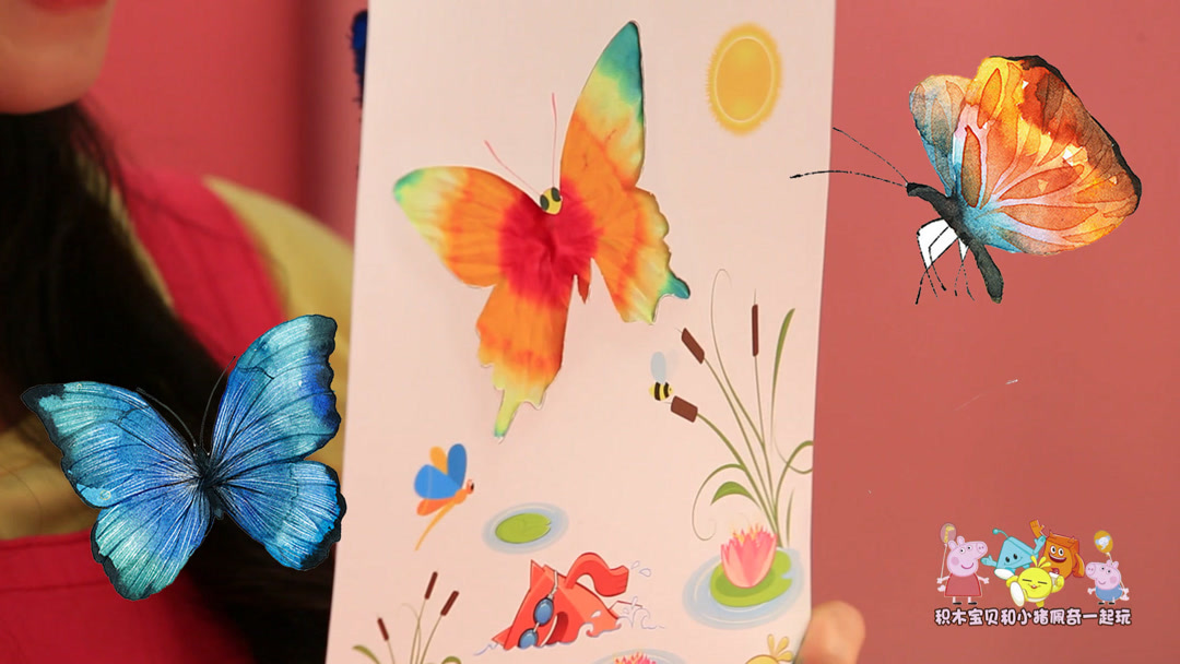 创意大爆炸 第31集 创意扎染漂亮的彩虹蝴蝶