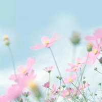 谈志伟说纪录片 