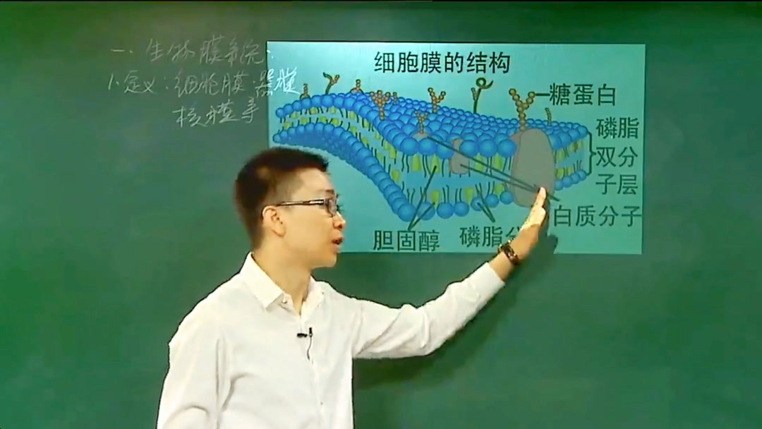 高一生物,物质跨膜运输的方式,细胞的结构和功能