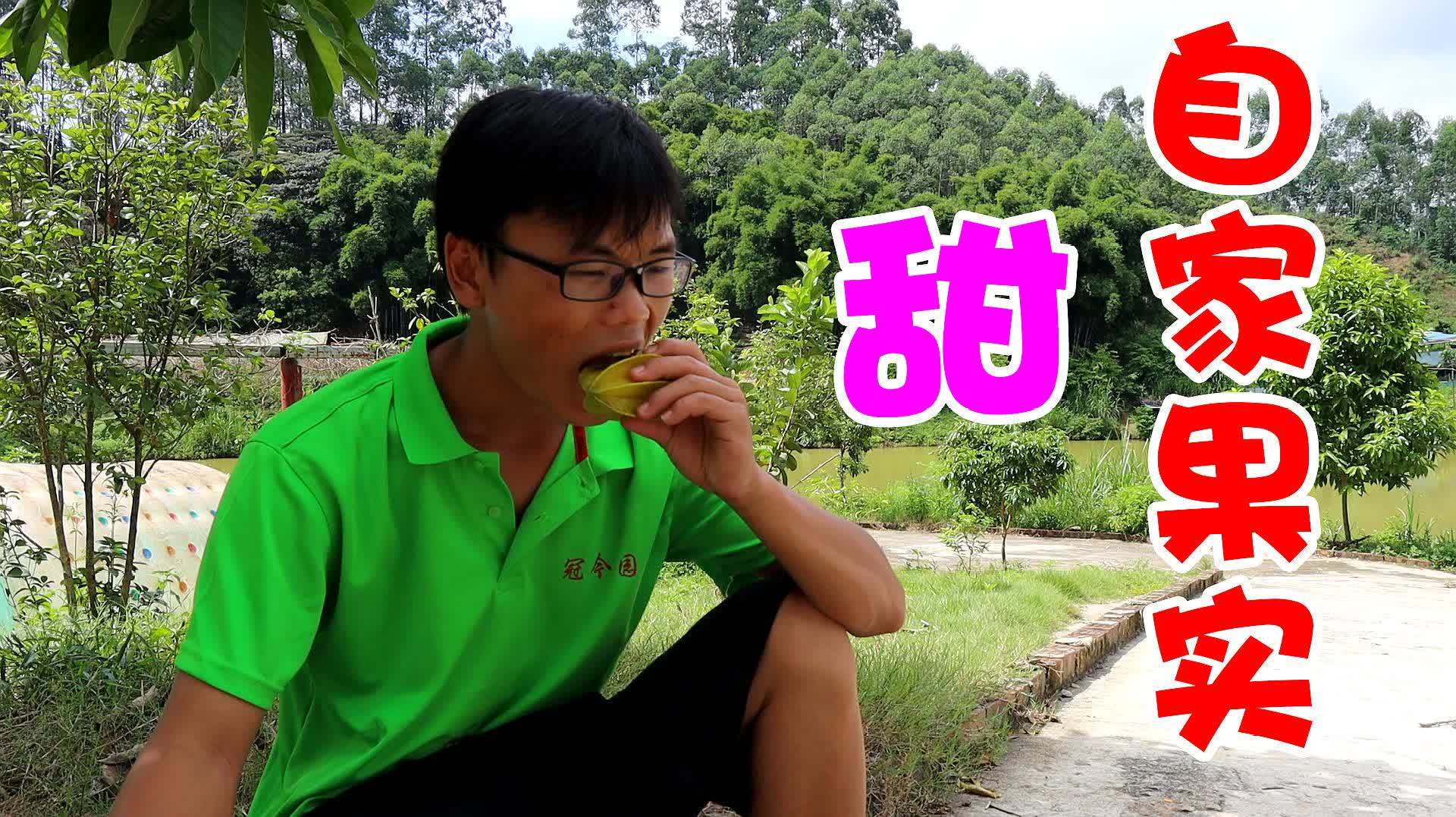 冠今园创业大学生,详细演示过程,怎么保护果树