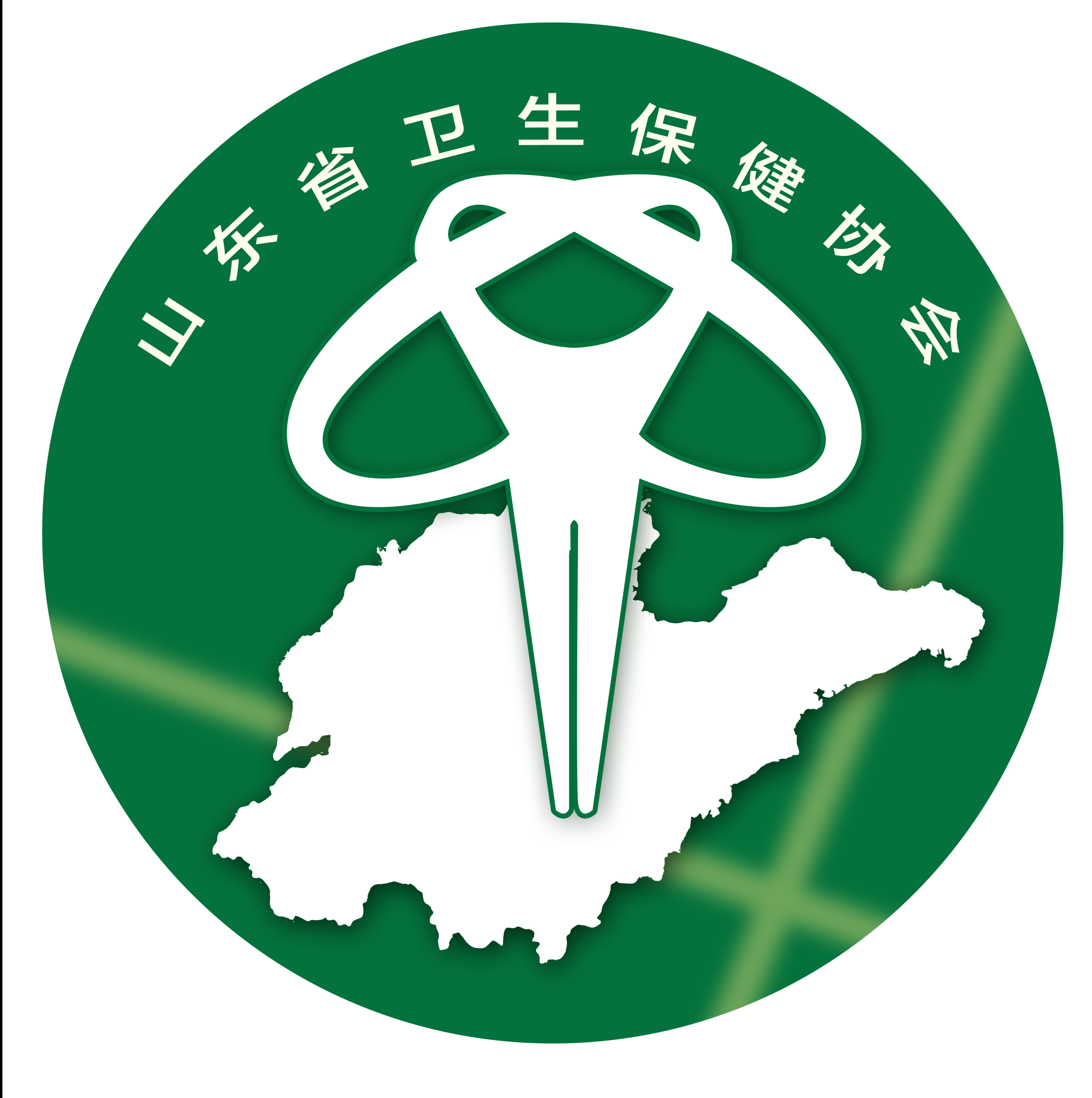 山东省卫生保健协会 