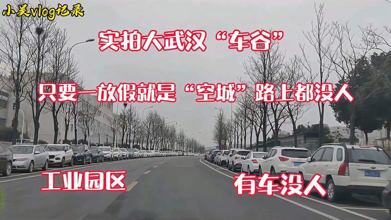 实拍大武汉“车谷”,停在路边车很多,就是没有行人,像一座空城