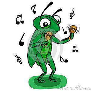 音乐新视界 