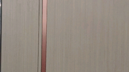 爱林堡不锈钢木门负离子抗菌面板实木填充隔音免漆房间门零醛轻奢...