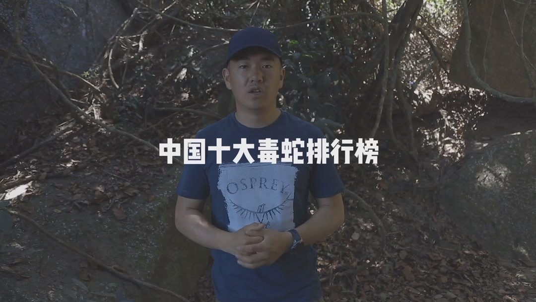 中国毒蛇十大排行榜(排名不分先后)