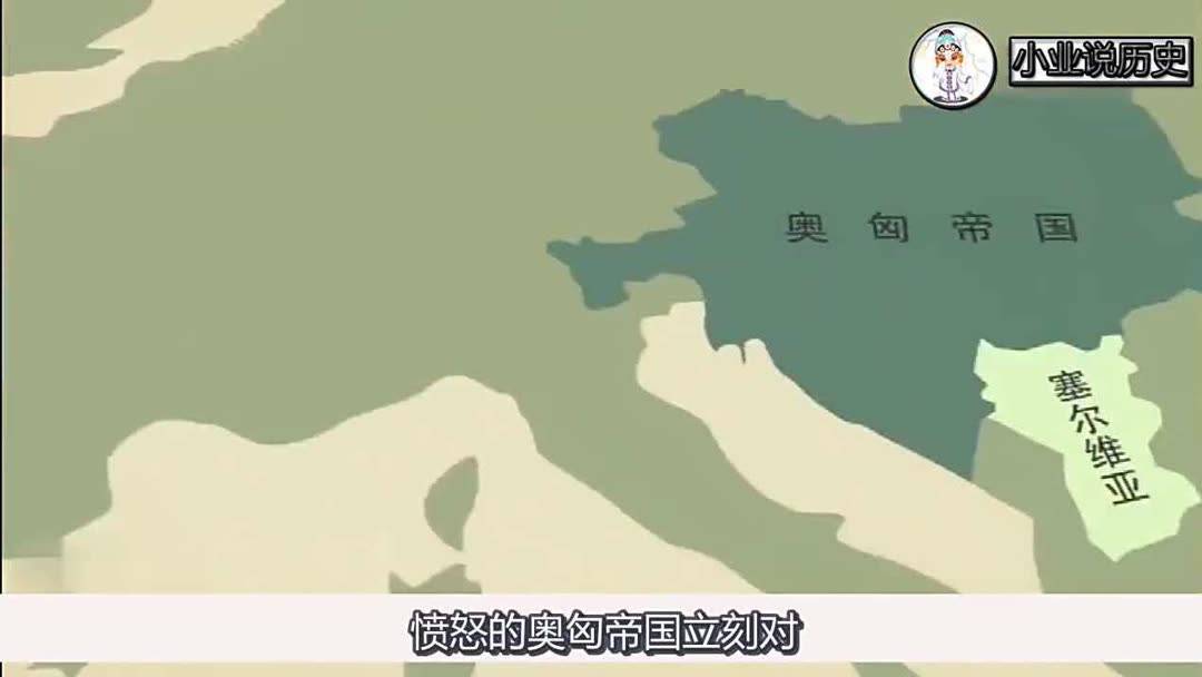 第一次世界大战是这样发动的?总算明白了,网友:德国家都没了?