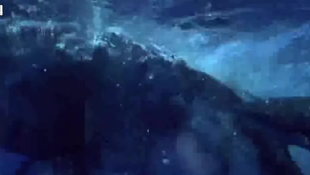 5分钟看完《老人与海》下,虽然不信人定胜天,但要相信老人与海 #名著 ...