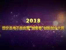 2018磐安县电子商务暨“创青春”创新创业大赛宣传片