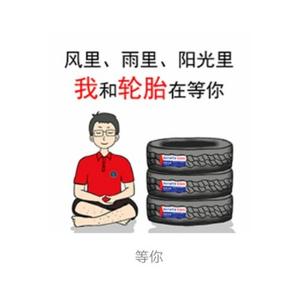 轮胎二哥 