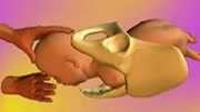 孕妇必看3D动画演示分娩过程