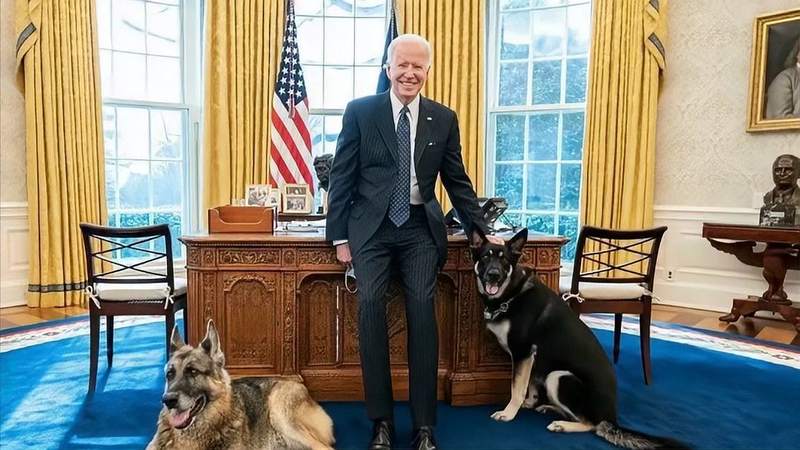 泽连斯基去美国演讲台下记者问了拜登一个敏感的问题