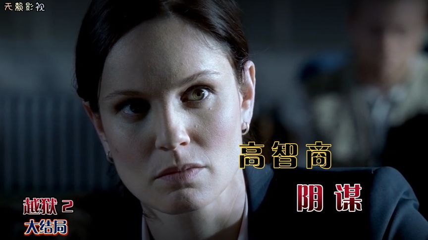 高评分的犯罪片,高智商囚犯与跨国犯罪集团之间的博弈,《越狱》