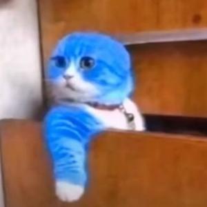 你们不认识我 