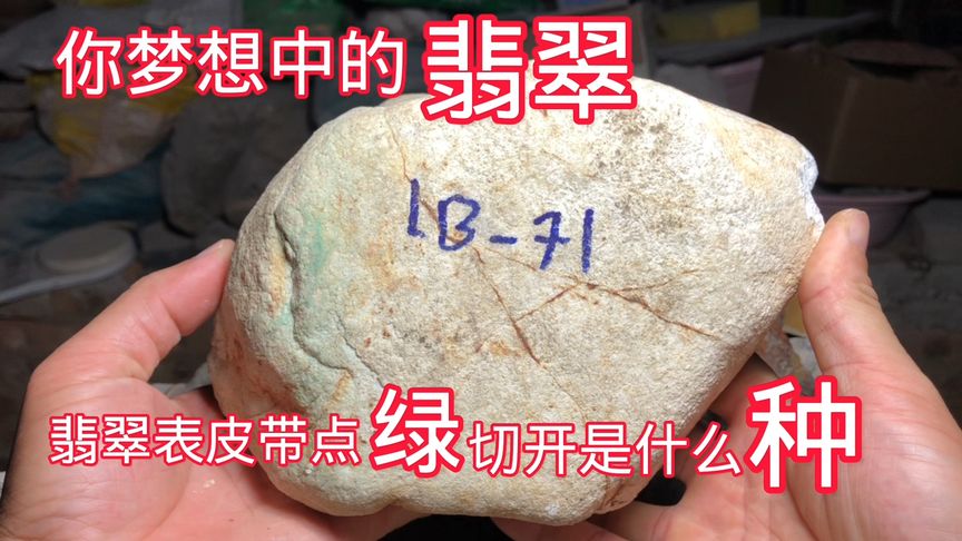 3亿人梦想中的翡翠,新手往往想常试一下,这一刀切出多少人心声