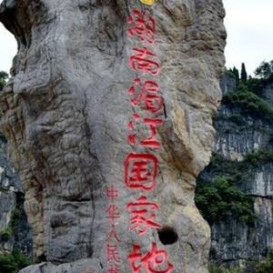 陽咣總茬風兩後 