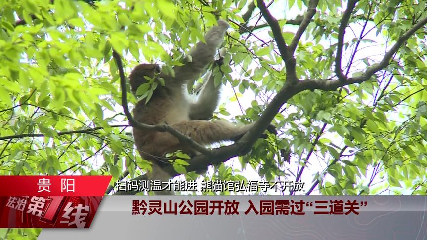 贵阳黔灵山公园开放入园需过“三道关”,熊猫馆弘福寺暂不开放