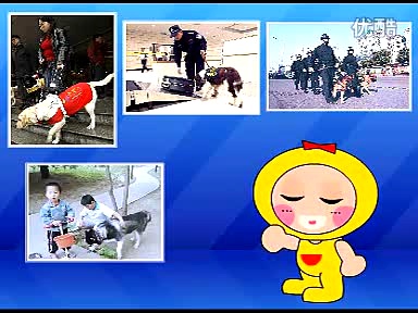 安全教育视频-和狗玩耍要注意