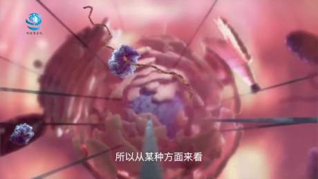 病毒是什么?它有意识没有?它为什么要入侵宿主造成宿主的死亡呢?