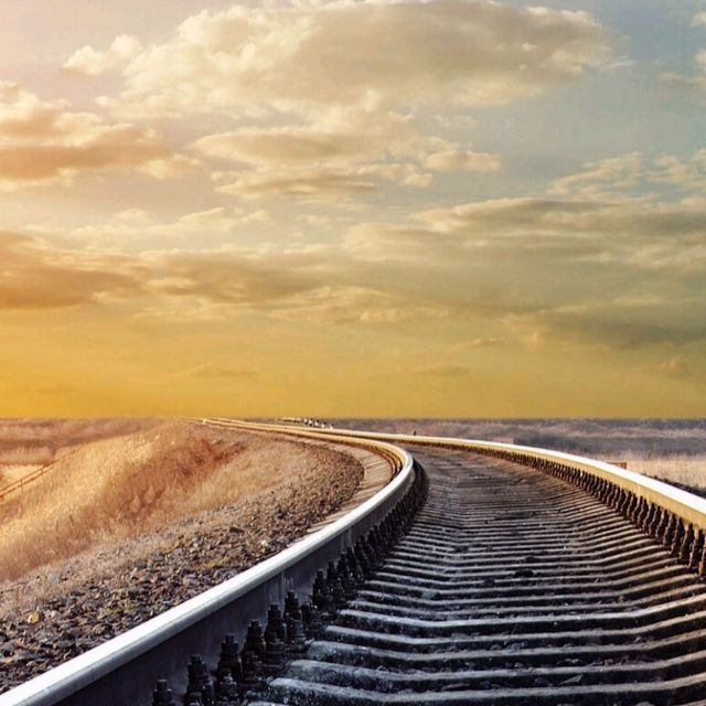 竹平1479704584718941 