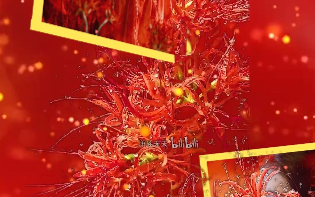 《AE制作相册3D环绕》