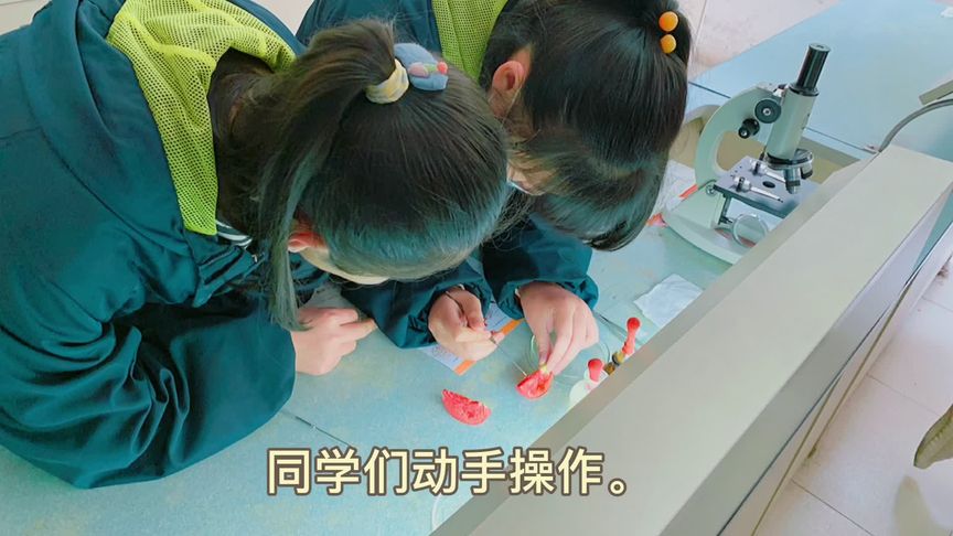 #蚌埠行知高级中学 初中部生物课显微镜实验操作。