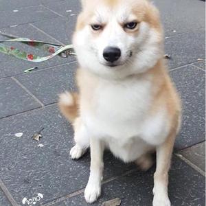 北一尘啊 