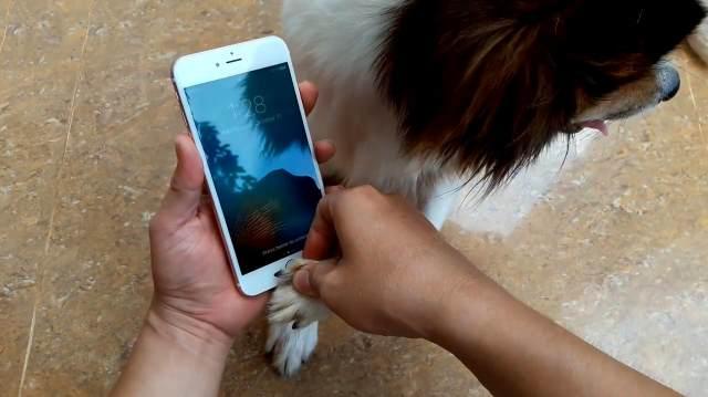 这样给手机设置指纹解锁,再也不怕睡觉的时候手机被偷偷解锁了