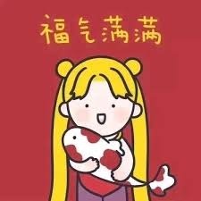 之后的发展 