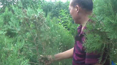 我们生活离不开农民的劳动,每一滴汗水都蕴含太多的艰辛!