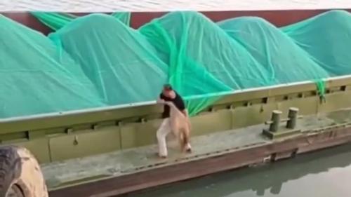 广东大叔这撒渔网技术真是厉害,不需要解释,一出场就知道不一样