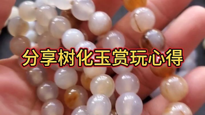 老李和大家分享一下树化玉赏玩心得