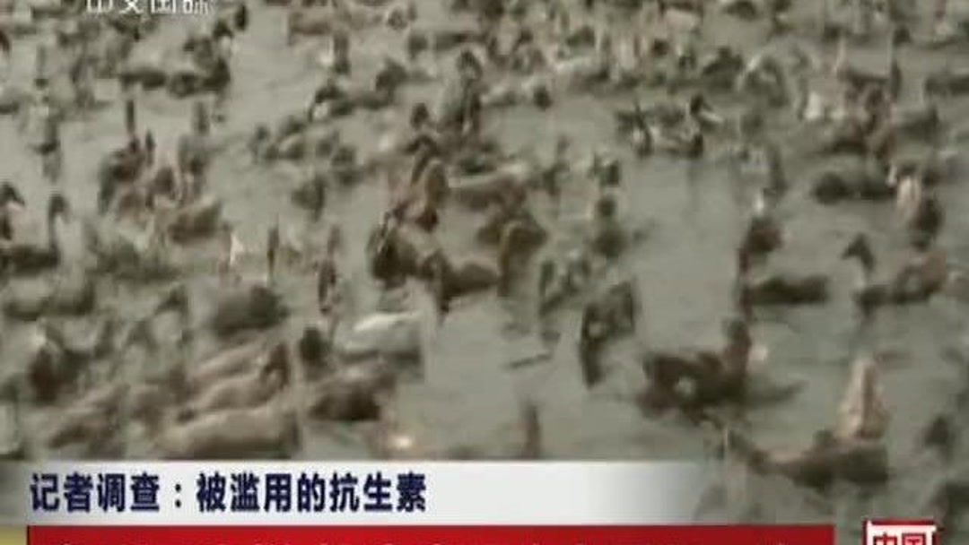 记者调查:被滥用的抗生素