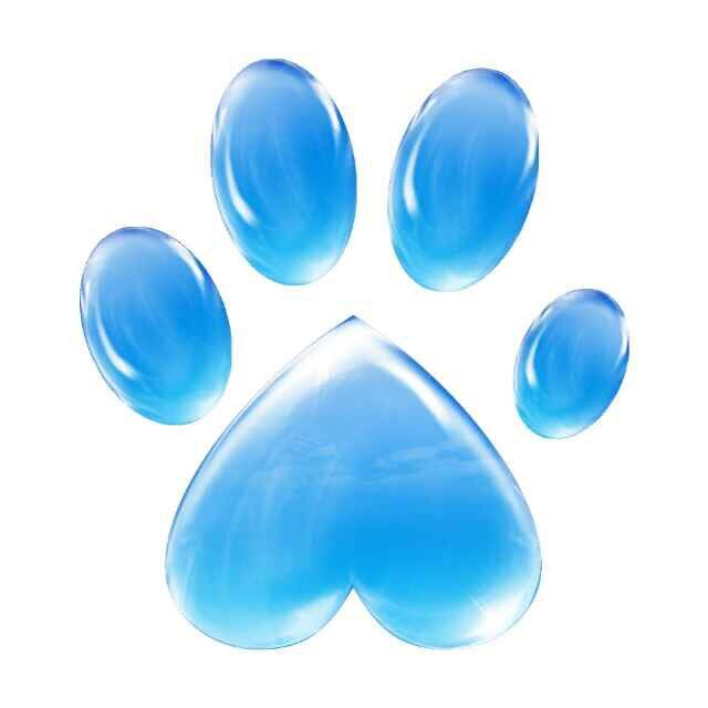 囚徒的自由之旅 