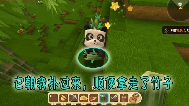 迷你世界:我想要驯服这只熊猫,用竹子引诱它