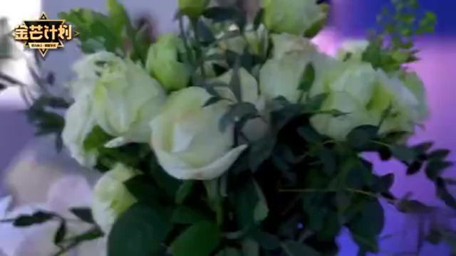 国产MINI纯电落户光束 宝马 长城联手凑齐“王炸”好牌