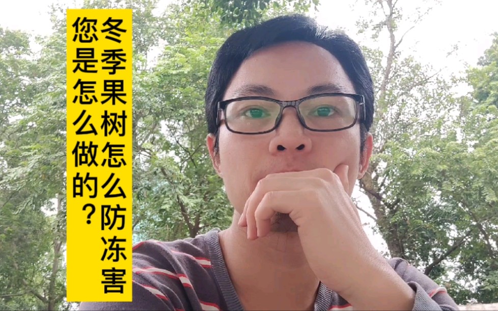 冬季果树怎么防冻害?您是怎么做的?