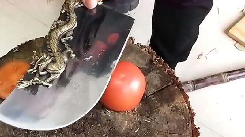 外观霸气的菜刀,切下去的那一刻,我才知道这刀不一般