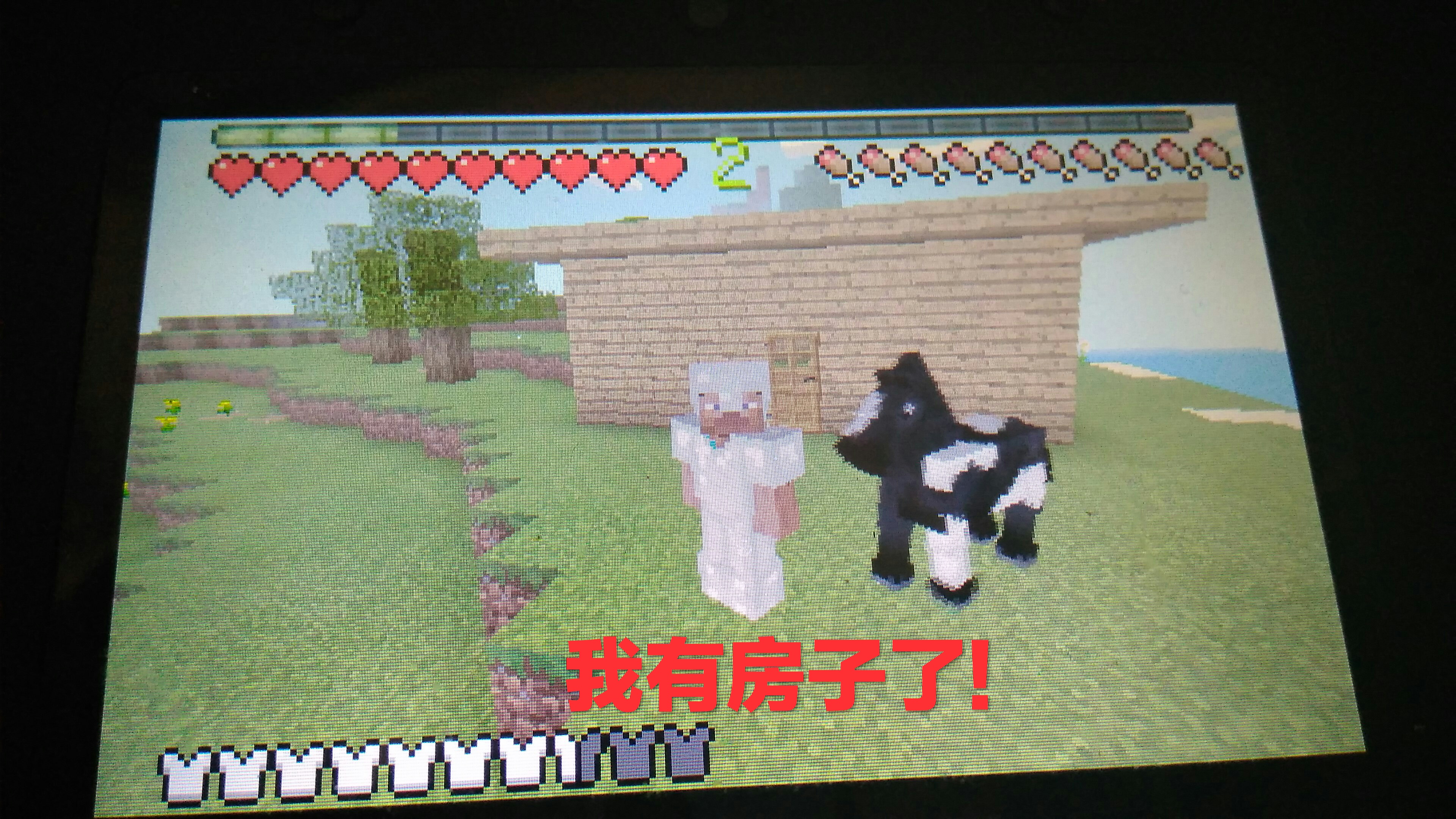 3ds上我的世界生存实况第三期,我可以住房子了!