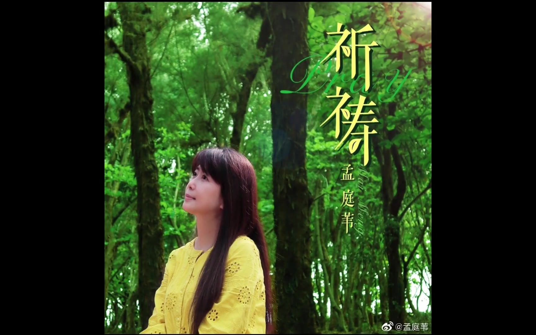 【孟庭苇祈祷自制MV大赛】获奖作品by:Wonggim