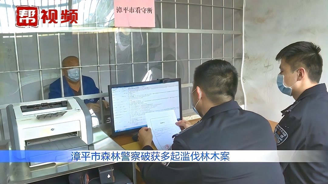 涉及面积三千多亩!刑事拘留4人!森林公安破获多起滥伐林木案