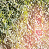 大哭一场的日子 